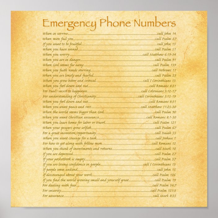 Emergency Phone Numbers Poster | Zazzle.co.uk