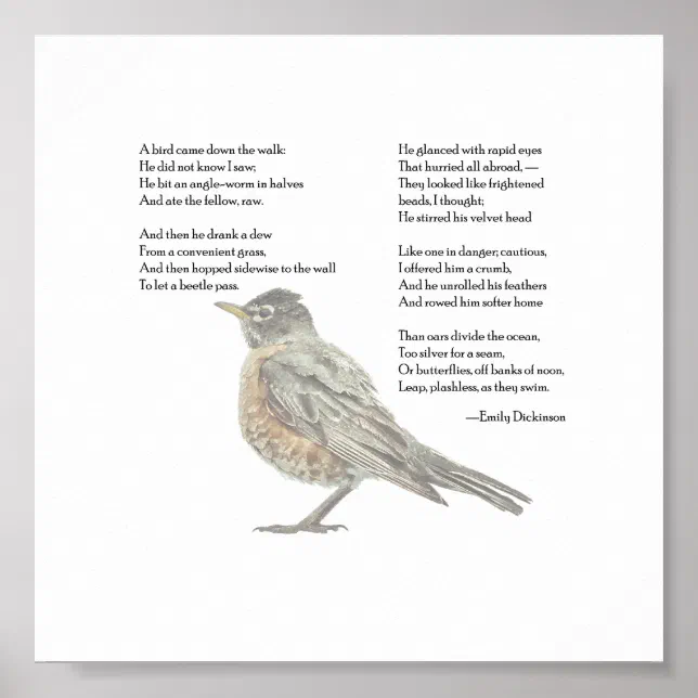 Emily Dickinson "In the Garden" Poem Poster | Zazzle