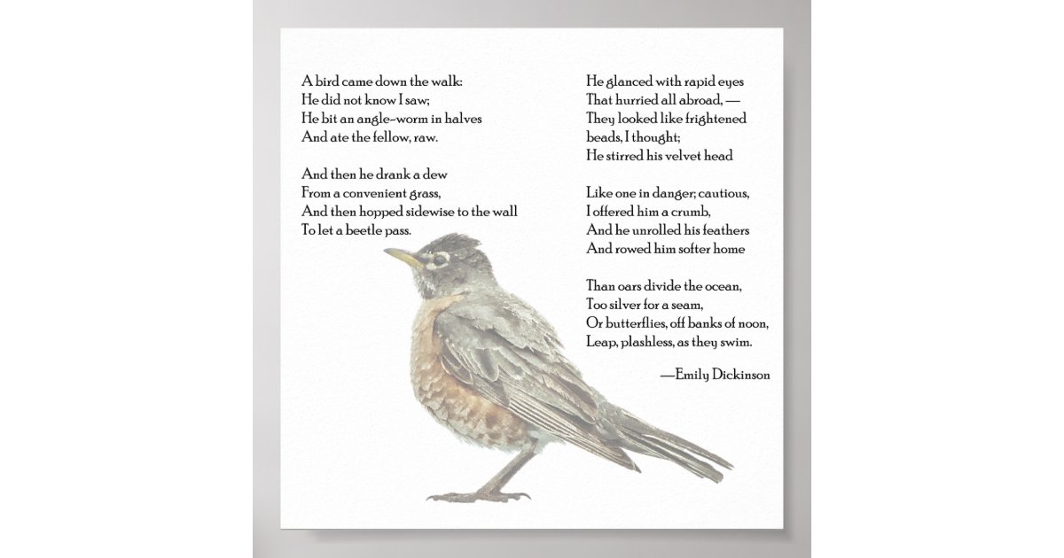 Emily Dickinson "In the Garden" Poem Poster | Zazzle