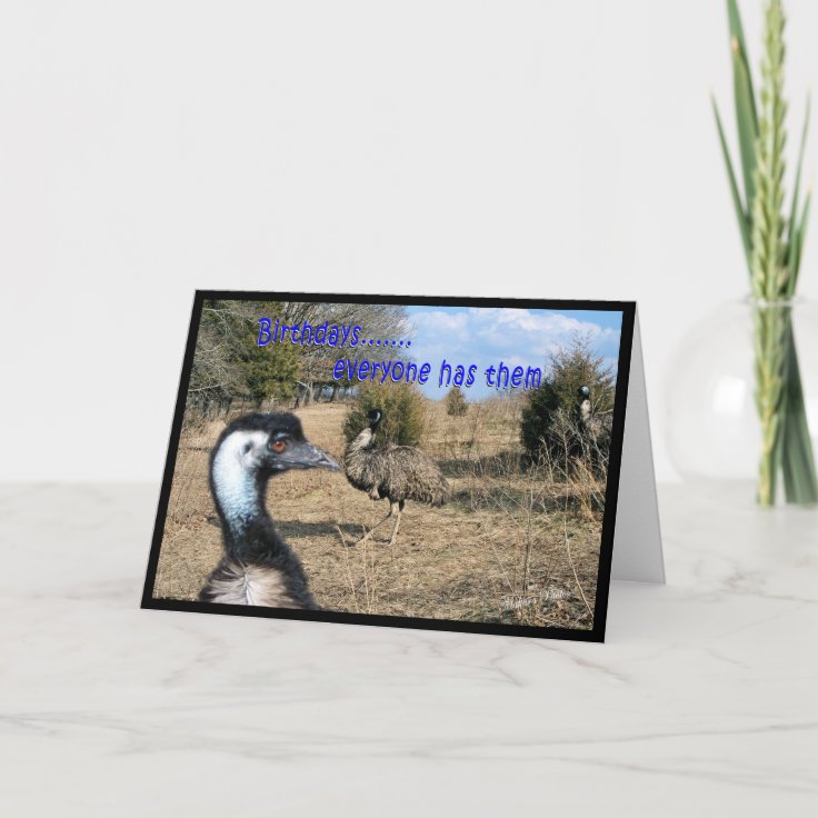 Emu Birthday card-customise Card | Zazzle