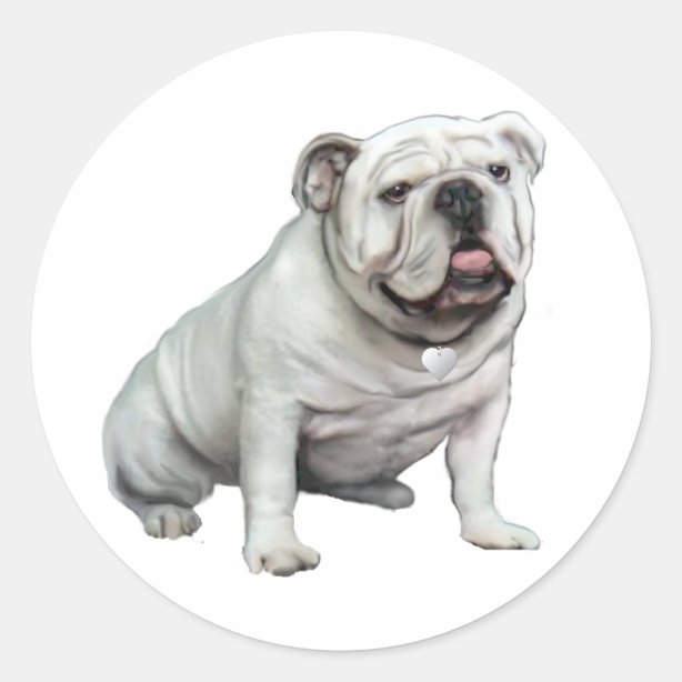 English Bulldog Stickers & Labels | Zazzle UK