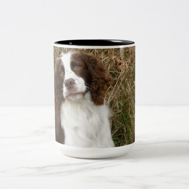 Springer Spaniel Coffee & Travel Mugs | Zazzle UK