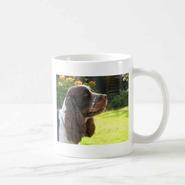 Springer Spaniel Coffee & Travel Mugs | Zazzle UK