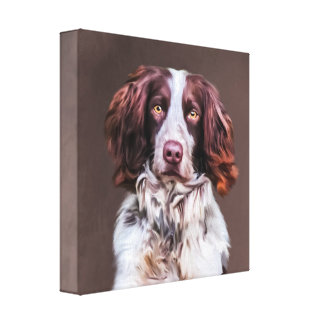 English Springer Spaniel Art, Posters & Framed Artwork | Zazzle.co.uk