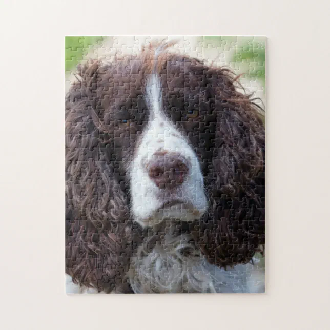 english springer spaniel.png jigsaw puzzle | Zazzle