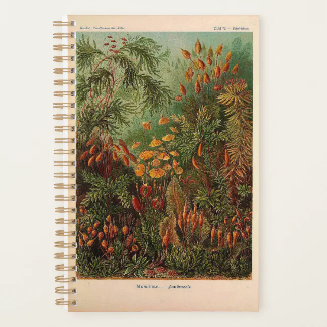 Ernst Haeckel Muscinae vintage illustration Planner | Zazzle