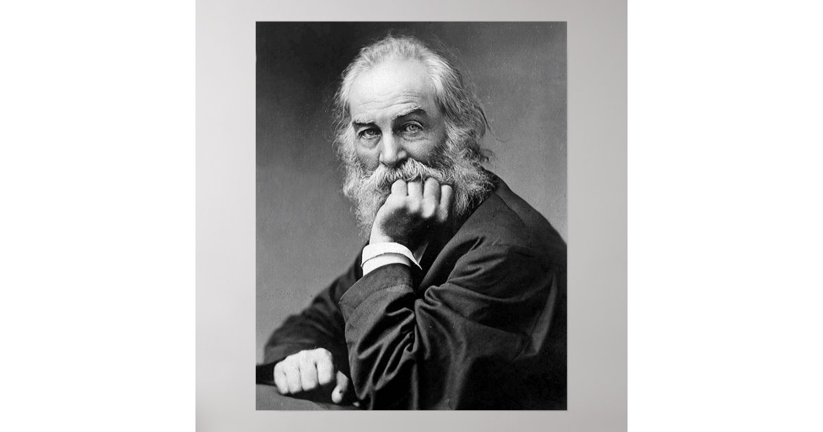 Essential Walt Whitman Portrait, Age 50 Poster | Zazzle