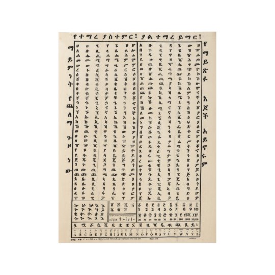 Ethiopian Amharic Alphabet Ge'ez Fidel Poster | Zazzle.co.uk