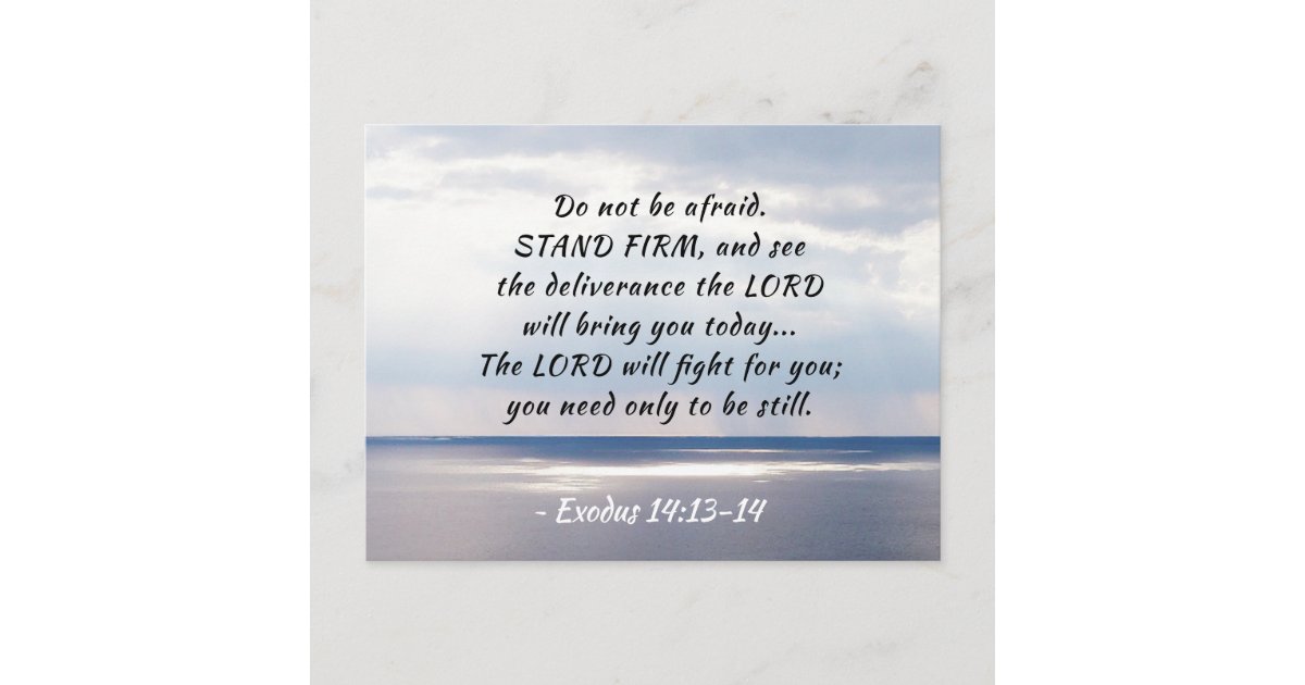 Exodus 14:13-14 Do not be afraid STAND FIRM Postcard | Zazzle