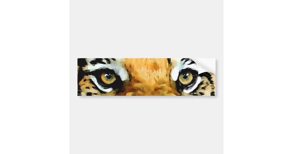 Eyes of Tiger Bumper Sticker | Zazzle