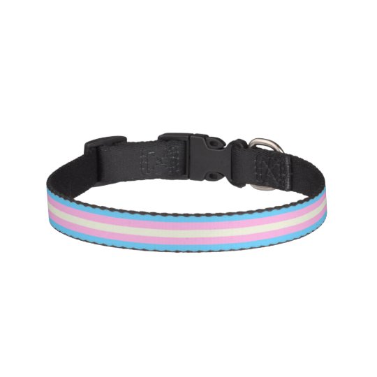Falln Transgender Pride Flag Pet Collar | Zazzle.co.uk