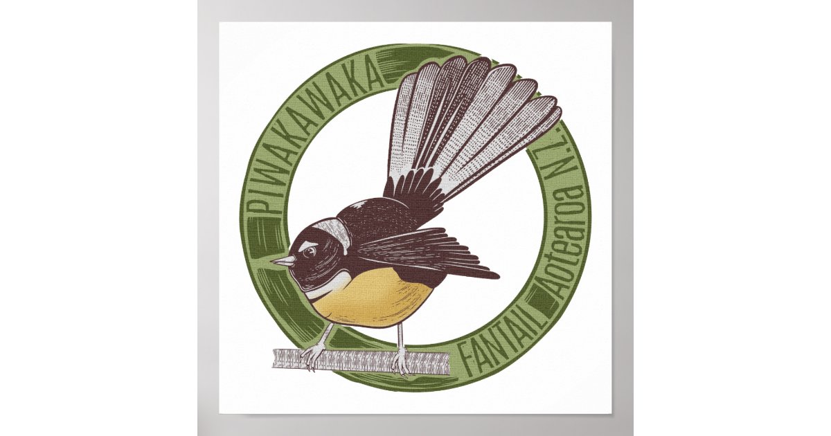 Fantail New Zealand Native Bird Aotearoa Nz Poster Zazzle
