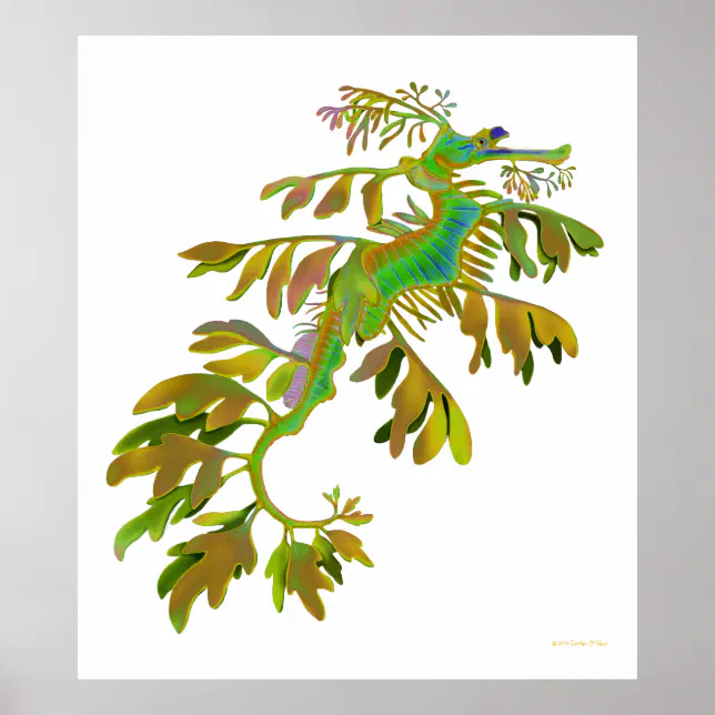 Fantasy Coloured Leafy Sea Dragon Poster | Zazzle