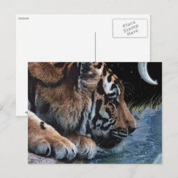Fantasy Tiger & Moon Postcards | Zazzle
