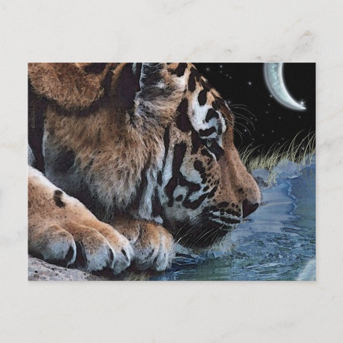 Fantasy Tiger & Moon Postcards | Zazzle.co.uk