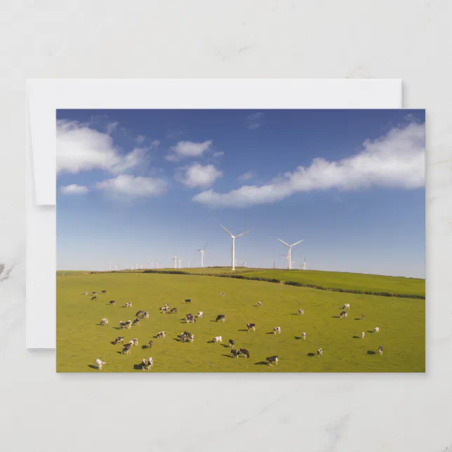 Farms | Cows Near Windmill Farm Thank You Card | Zazzle