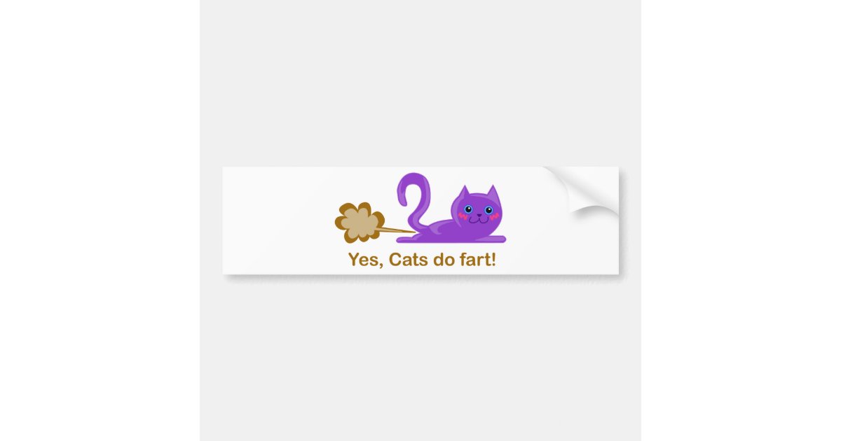Farting cat, cat farts! bumper sticker | Zazzle