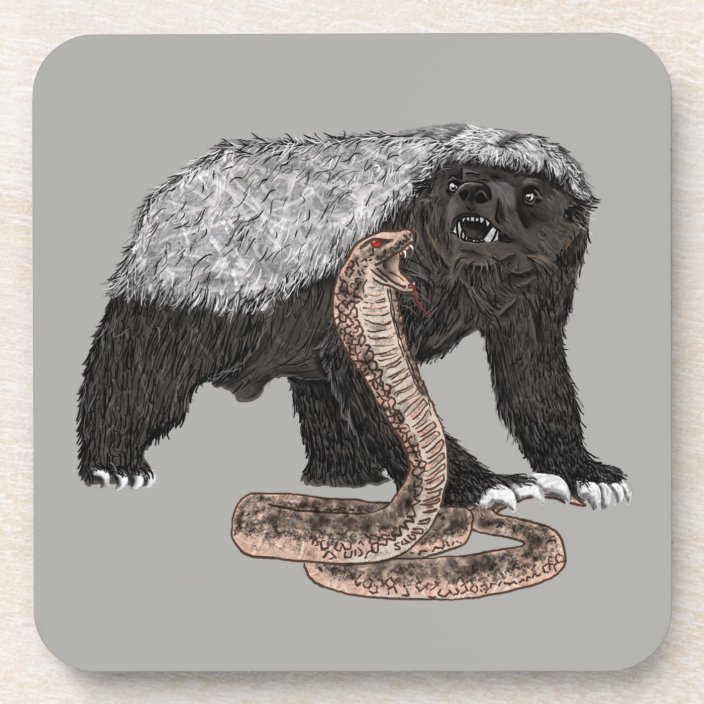 Fearless Badass Honey Badger & Snake Animal Art Coaster | Zazzle.co.uk