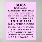 Funny Boss Nicknames and Job Titles Office Poster | Zazzle.co.uk