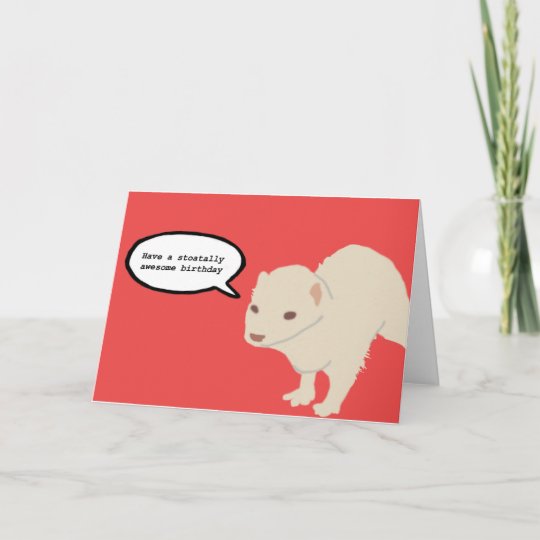 Ferret birthday card | Zazzle.co.uk