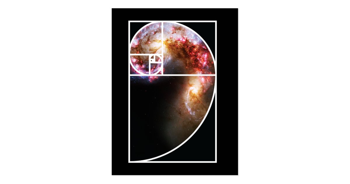 Fibonacci Spiral Galaxy Postcard | Zazzle.co.uk