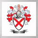 Fitzgerald Coat of Arms Poster | Zazzle
