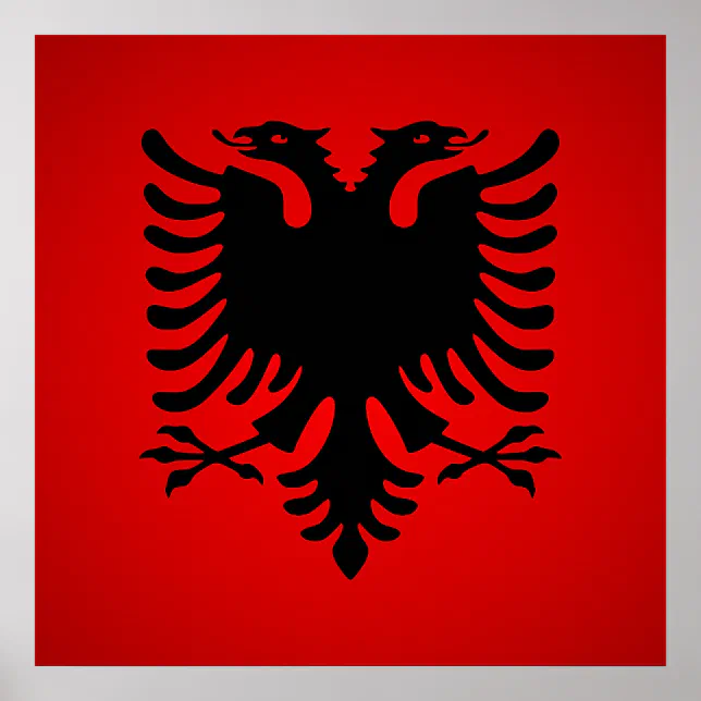 Flamuri i shqiperise poster | Zazzle