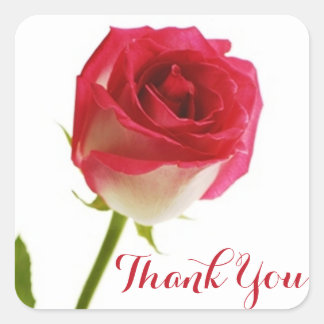 Pink Rose Thank You Stickers | Zazzle.co.uk
