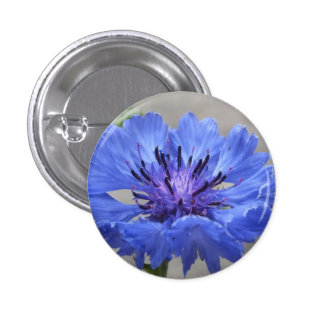 Cornflower Blue Badges and Cornflower Blue Pins | Zazzle.co.uk