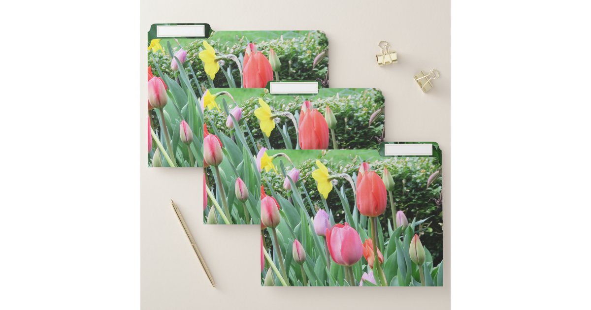 flower, spring, beautiful, background, tulip, file folder | Zazzle