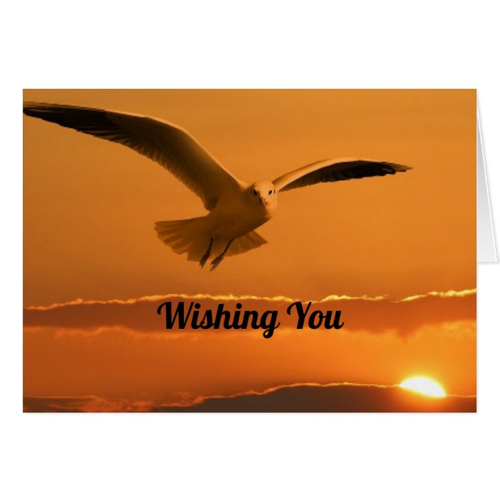 Flying Bird Birthday Card | Zazzle.co.uk