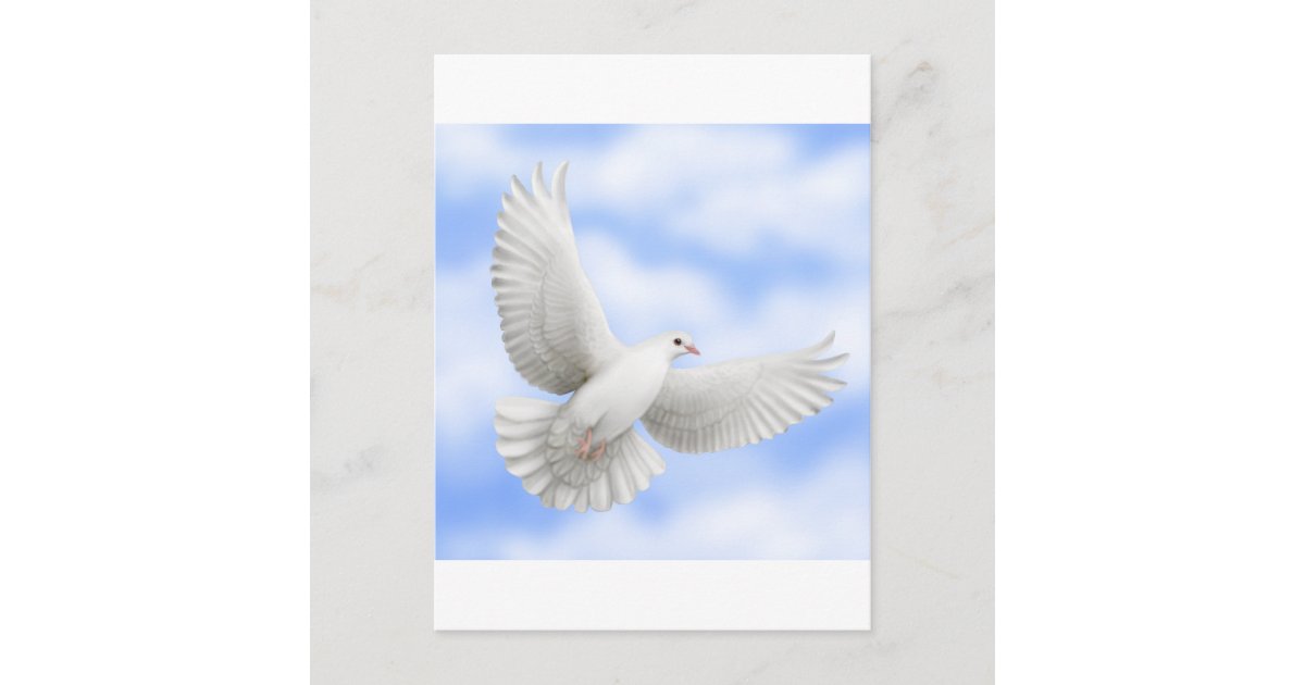 Flying Dove Postcard | Zazzle