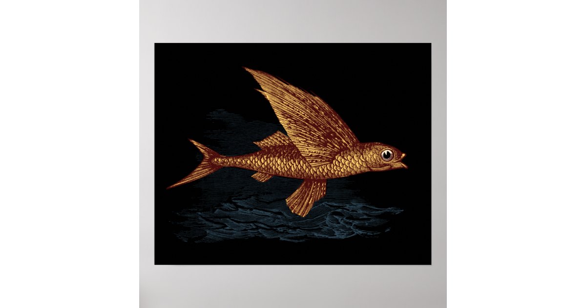 Flying Fish Poster | Zazzle