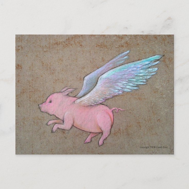 flying pig postcard | Zazzle