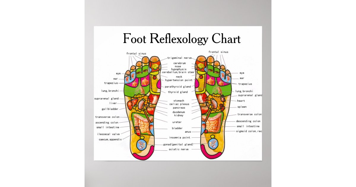 Foot Reflexology - 20x16" Poster | Zazzle