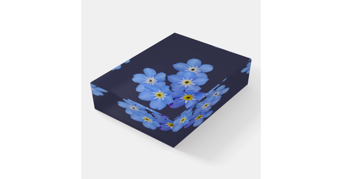 Forget-me-Not Flowers Paperweight | Zazzle