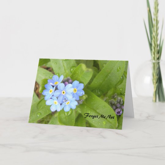 Forget Me Not Greeting Card | Zazzle.co.uk