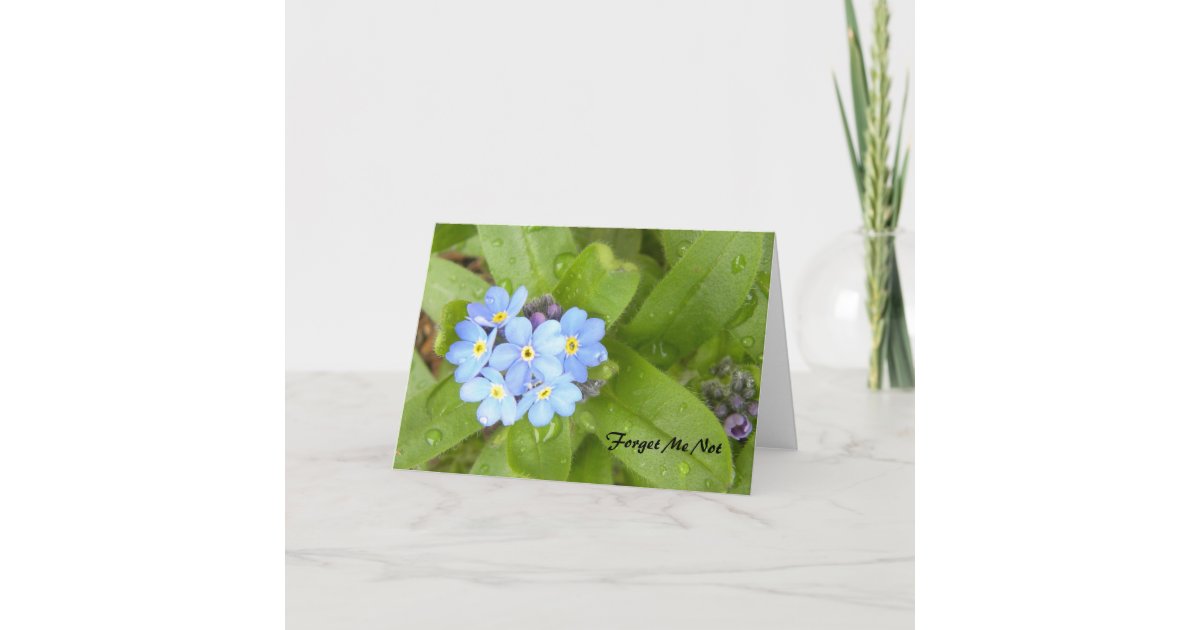 Forget Me Not Greeting Card | Zazzle