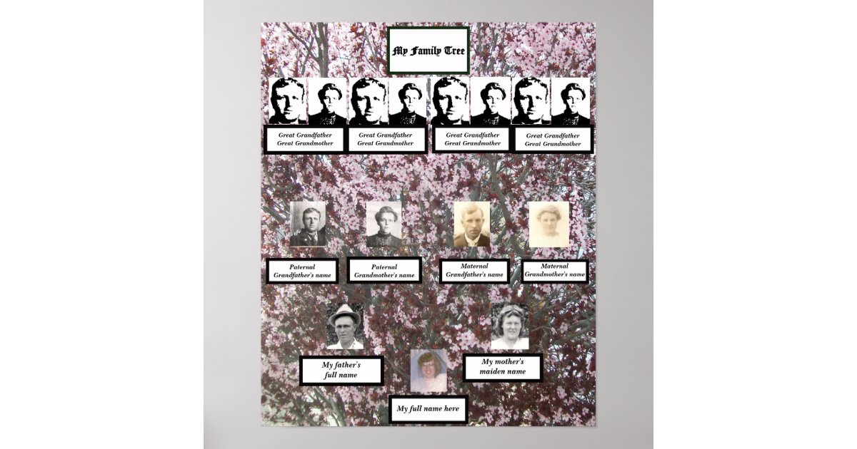 Four Generation Pink Blossom Family Tree Poster | Zazzle