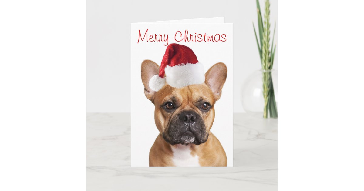 French Bulldog Christmas card | Zazzle