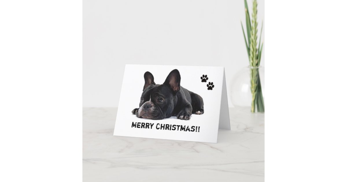 French Bulldog christmas card | Zazzle