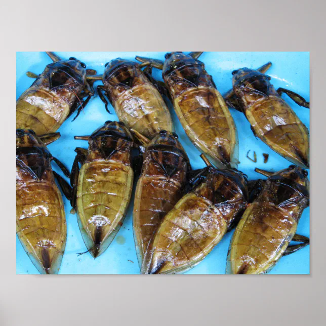 Fried Giant Water Bug (Maeng Daa) ... Asian Food Poster | Zazzle