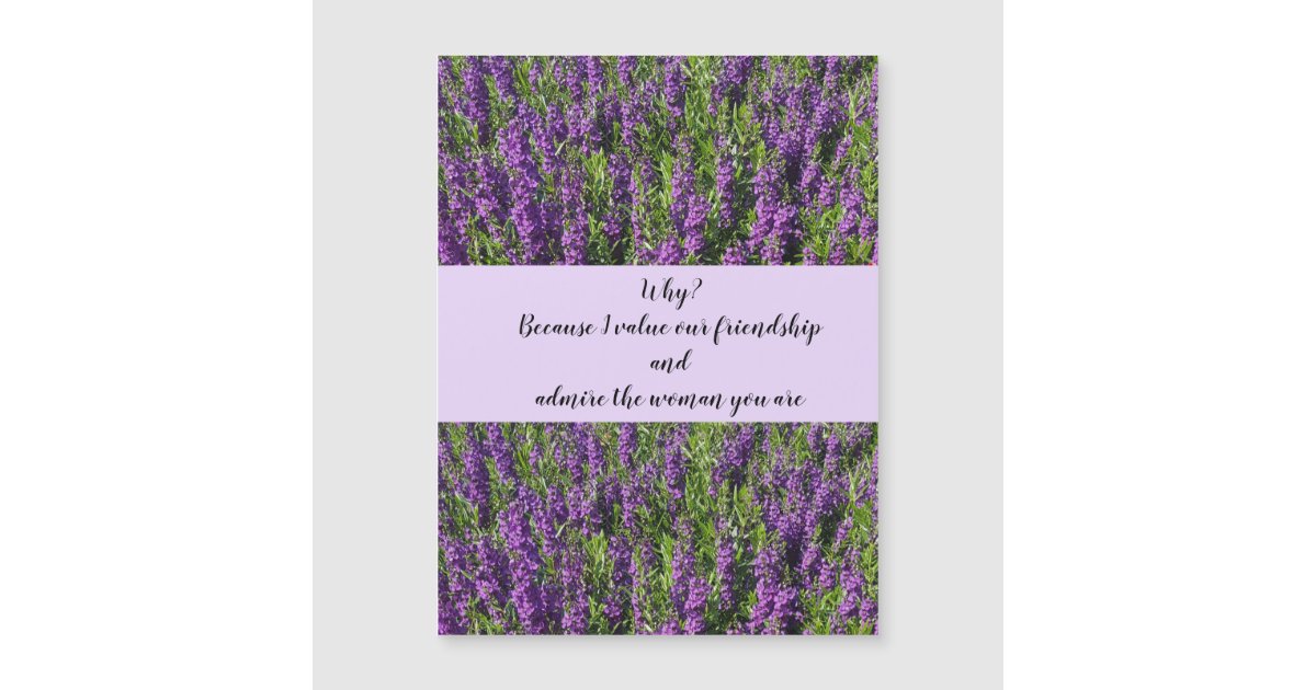 Friendship & Admiration Magnetic Greeting Card | Zazzle