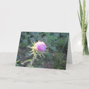 Thistle Cards | Zazzle UK