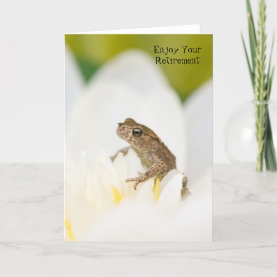 Frog on a Flower Enjoy Your Retirement Card | Zazzle.co.uk