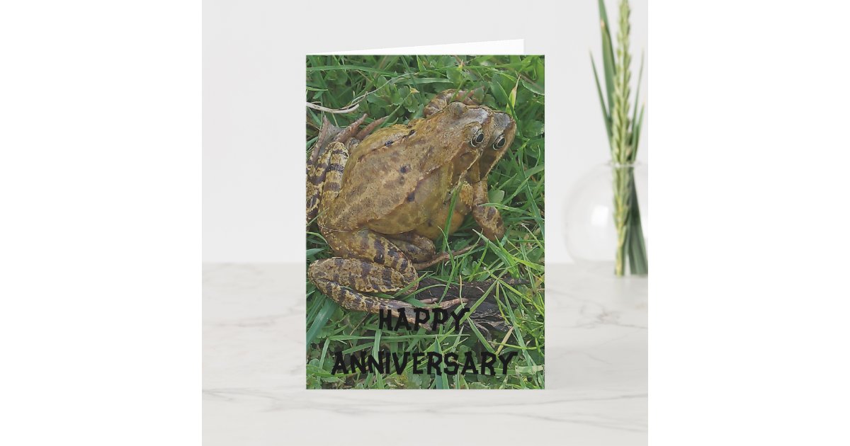 Frogs Anniversary Happy Anniversary Card | Zazzle