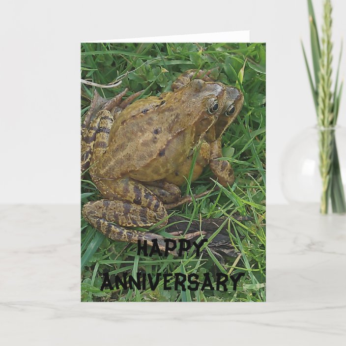 Frogs Anniversary Happy Anniversary Card | Zazzle.co.uk