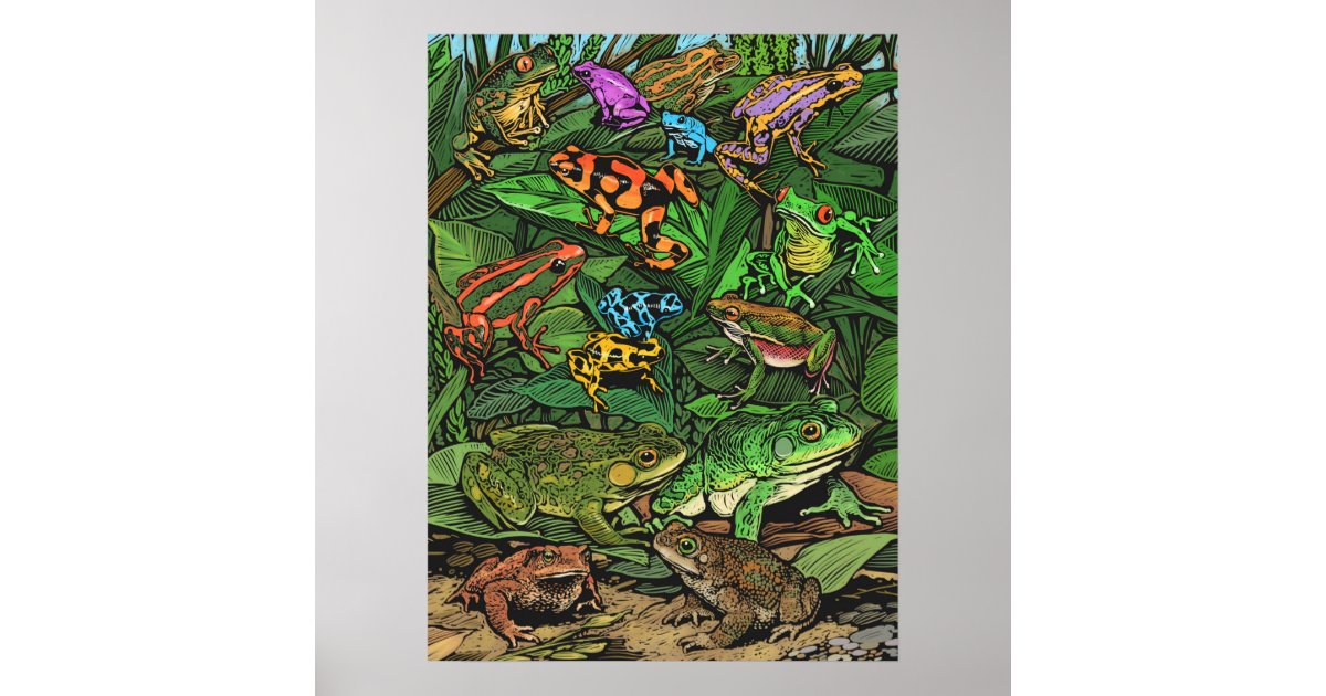 Frogs Poster | Zazzle