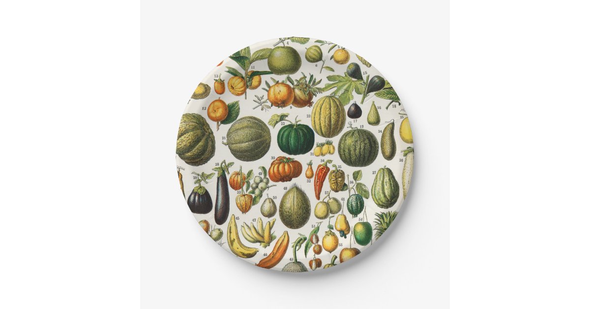 Fruits and Vegetables Paper Plate | Zazzle