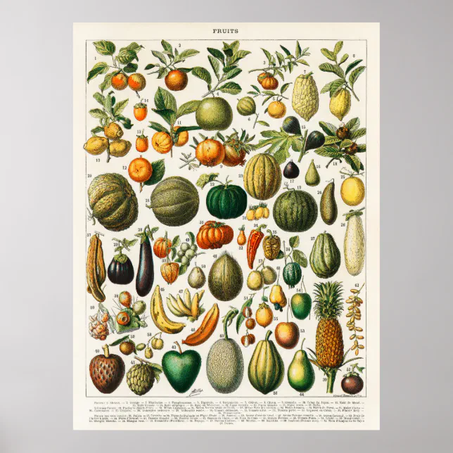 Fruits and Vegetables Poster | Zazzle
